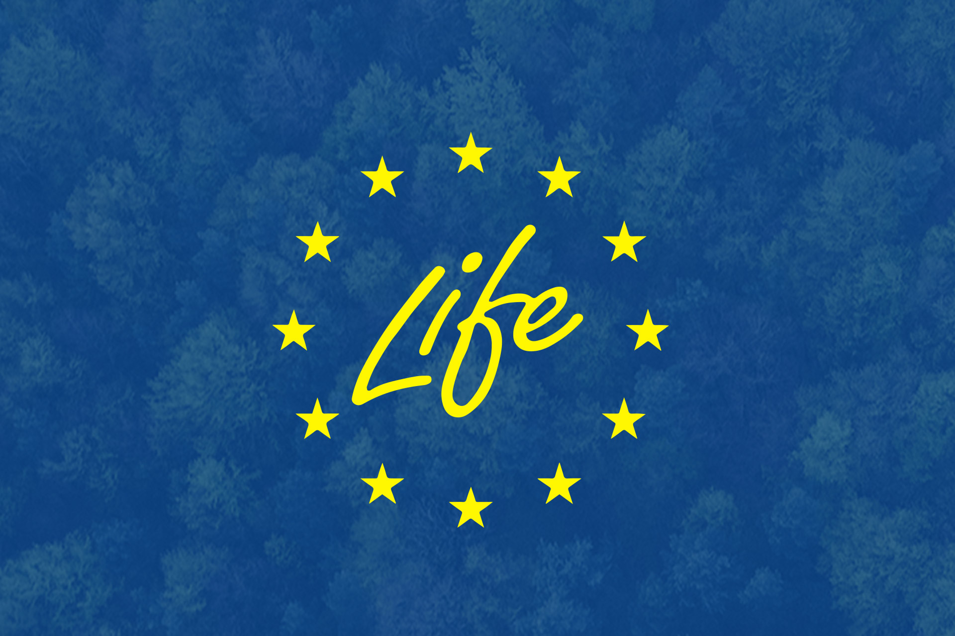 Life projects - AB InBev