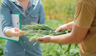 European Heritage Brewer | Sustainable, Innovative and Responsible beer ...